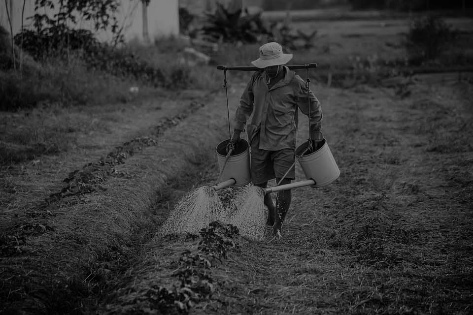 Home - Precarity and Aging